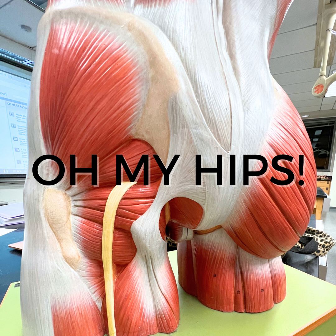 Oh My Hips! by Julie Ann